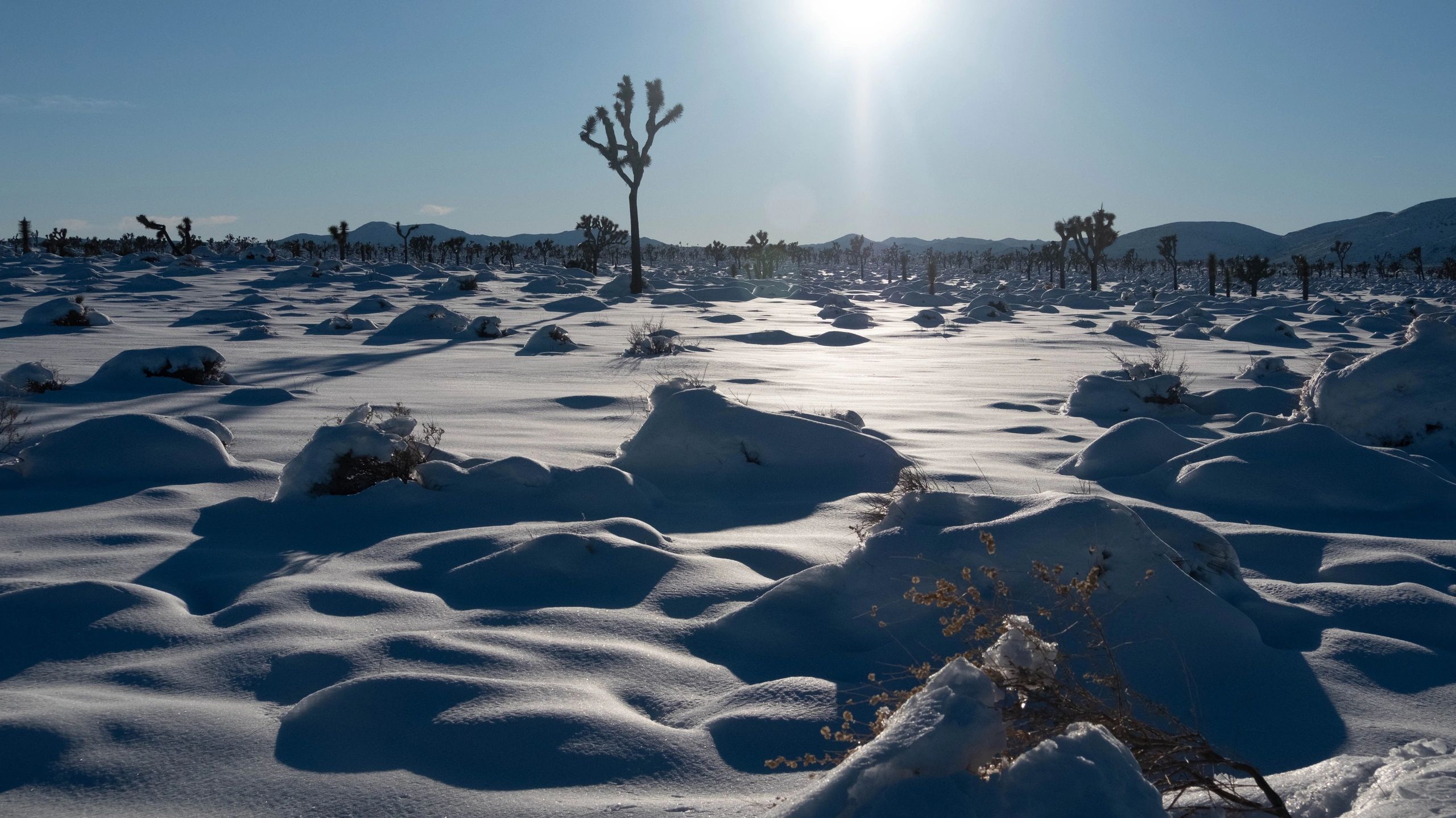 JOSHUA TREE FILM LOCATIONS