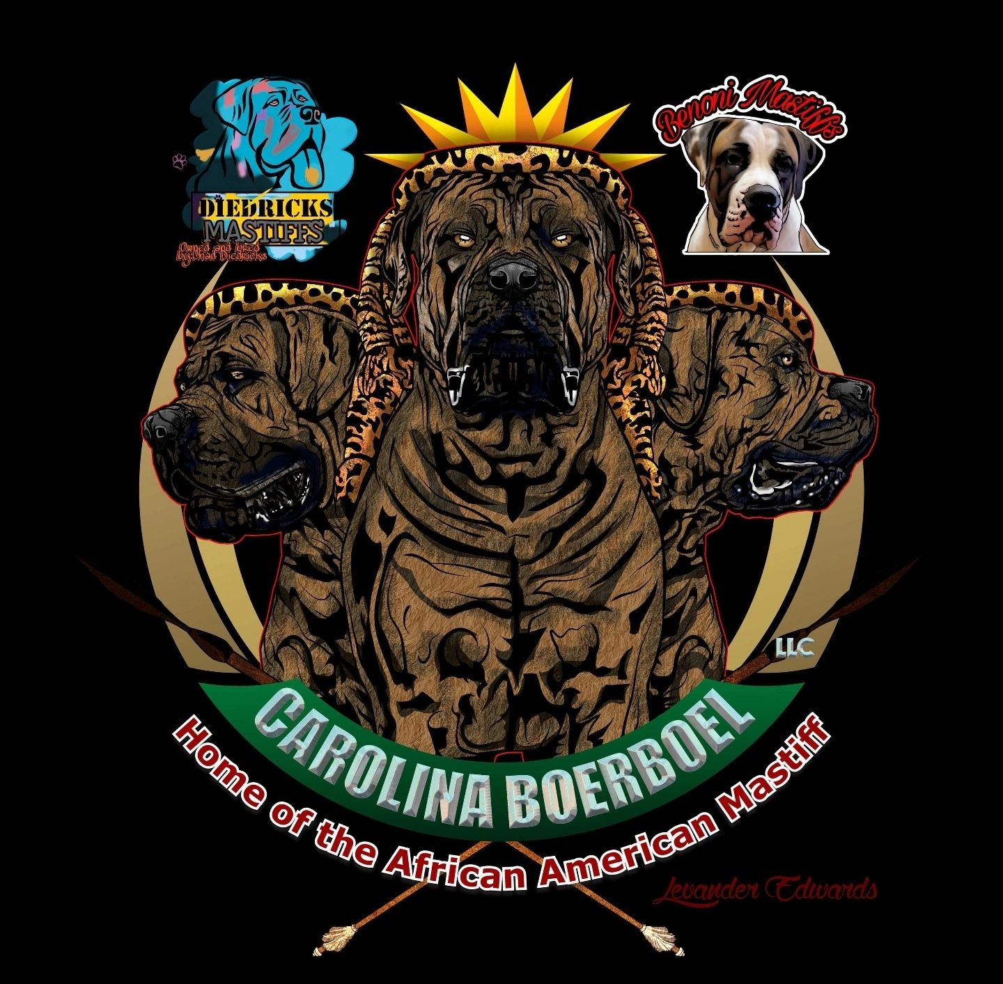 South African Boerboels - Carolina Boerboel