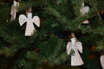 ANGEL TREE | Festival of Trees