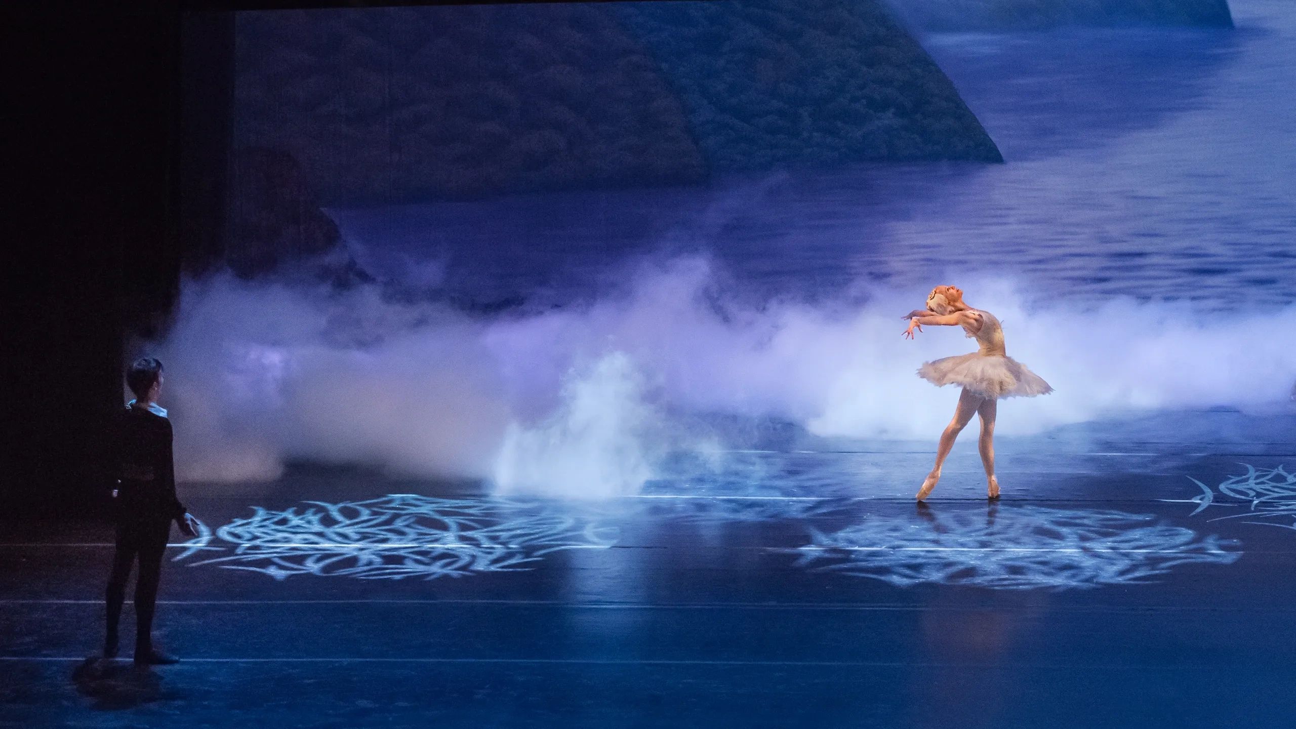 Georgia Dance Theatre