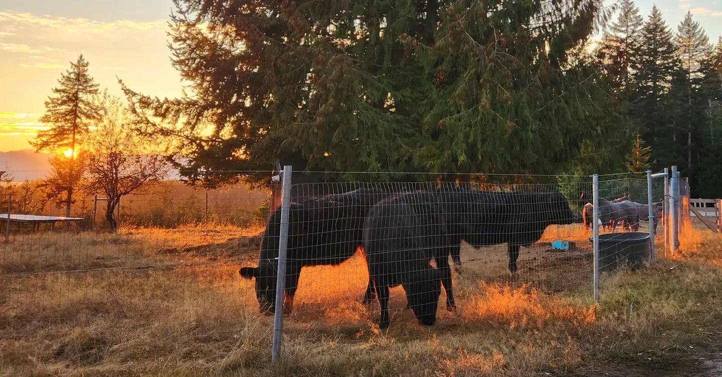 Texada Island, British Columbia