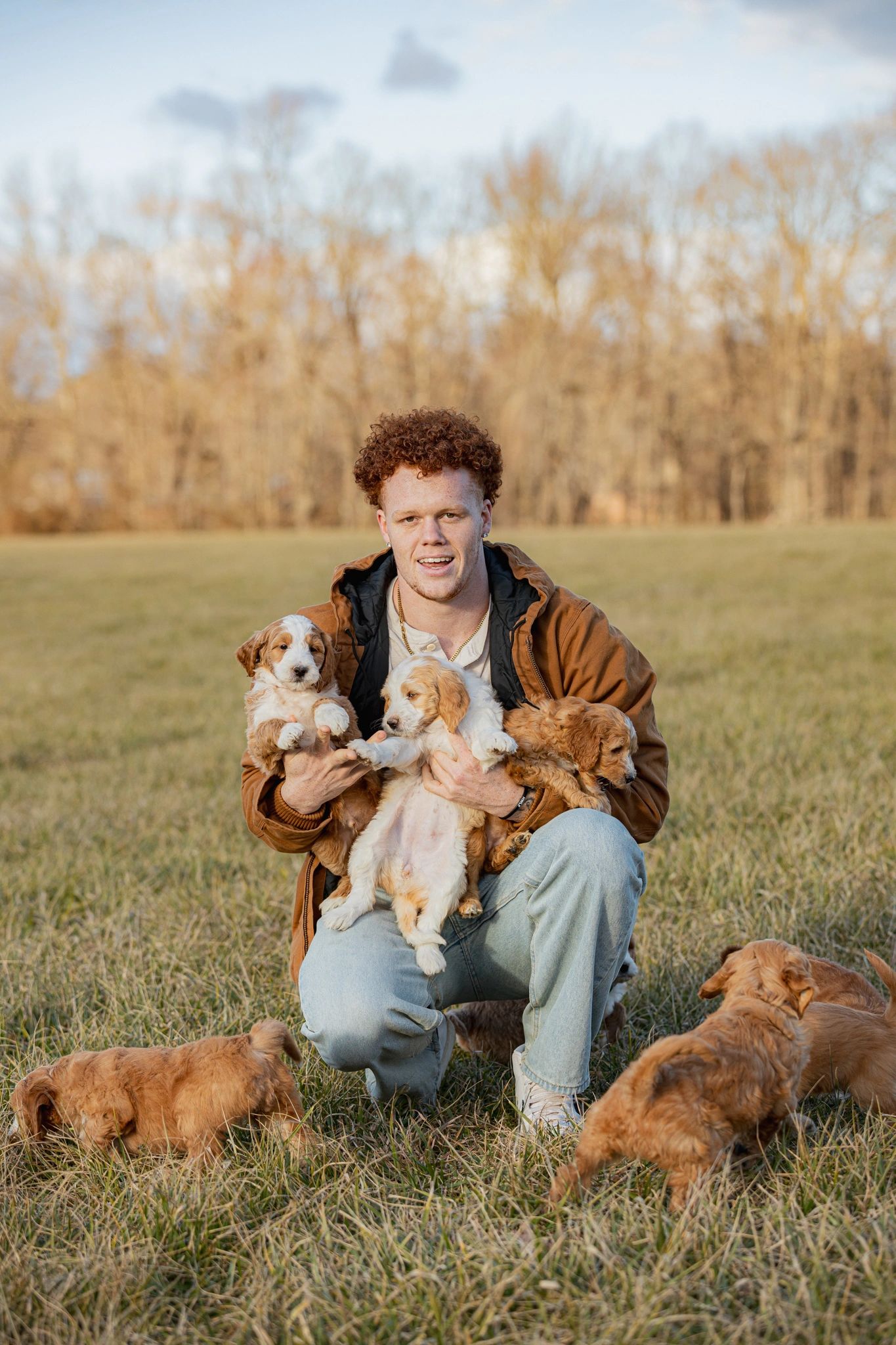 Honey Mountain Kennels - Adopt Goldendoodle, Puppy Adoption Honey Mountain Kennels - Adopt Goldendoodle, Puppy Adoption