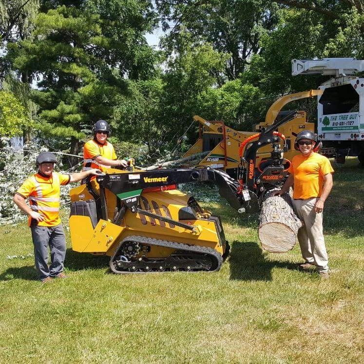 THE TREE GUY - Tree Service, Tree Removal, Tree Trimming