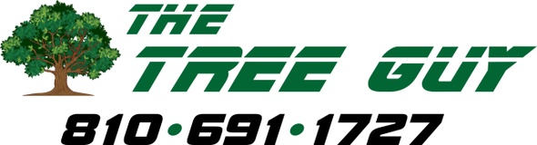 THE TREE GUY - Tree Service, Tree Removal, Tree Trimming