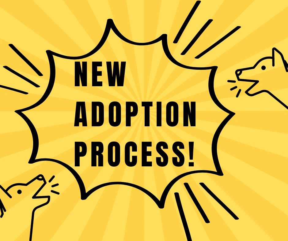 New Adoption Process