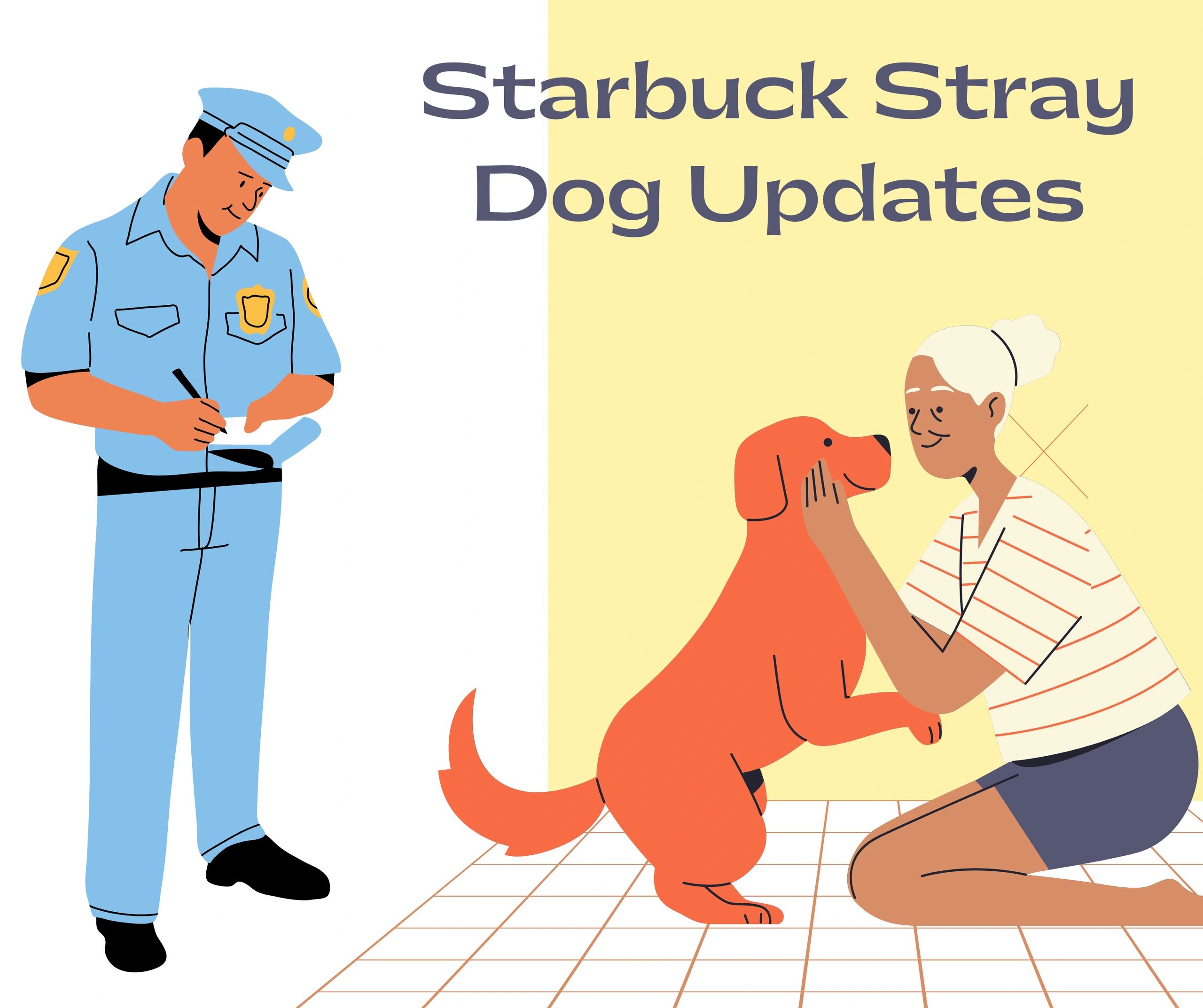 Starbuck Stray Dog Update-January 2025