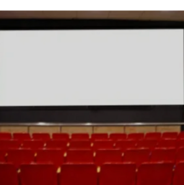 Adults Only Movie Theatre & Superstore - Cinema 309