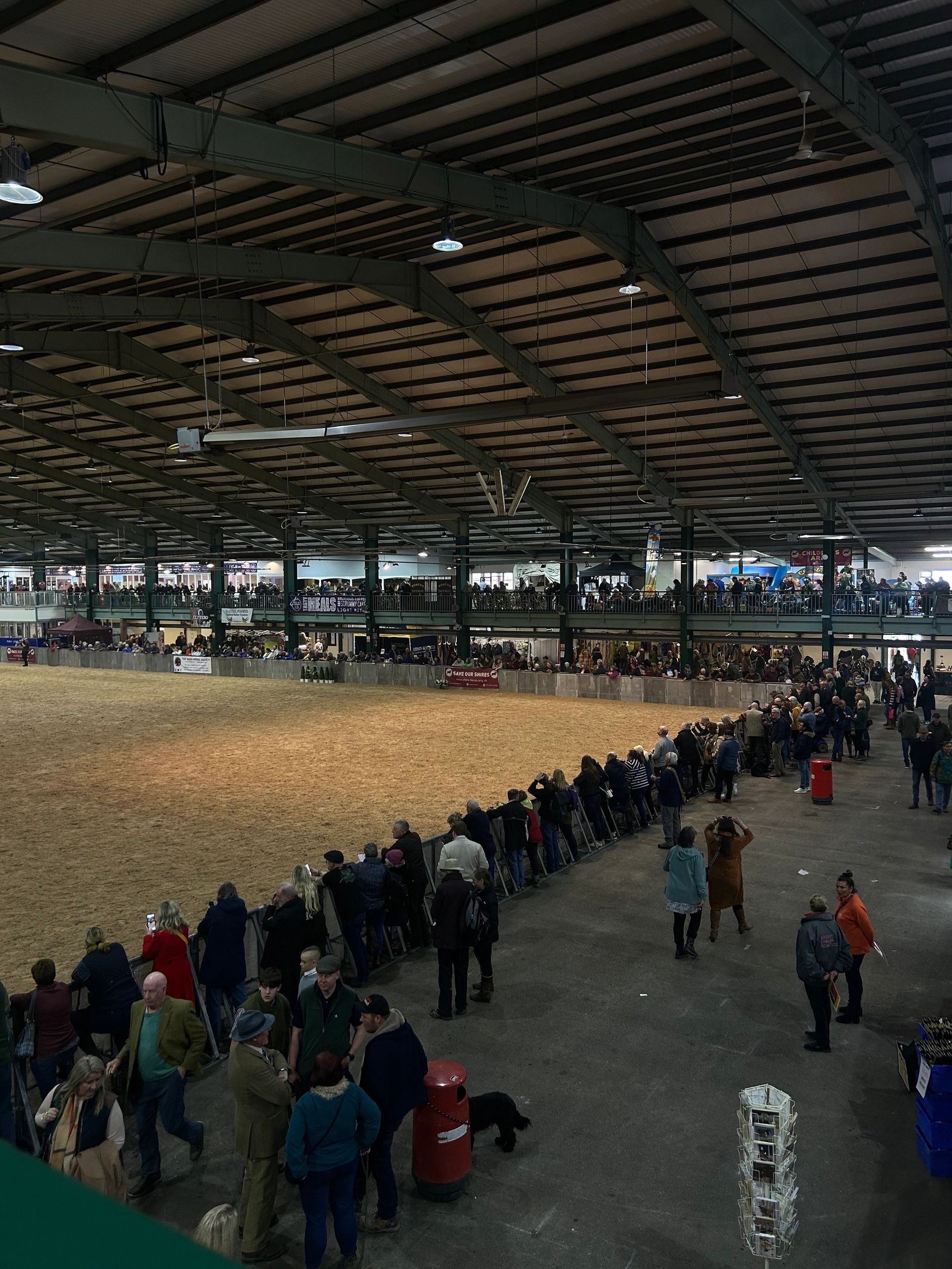 National Shire Horse Show 2025