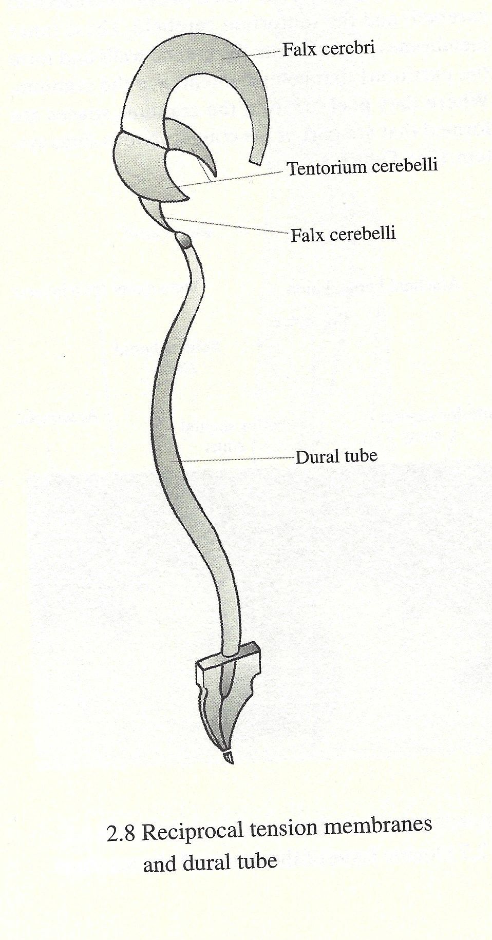 Dynamic stillness 101