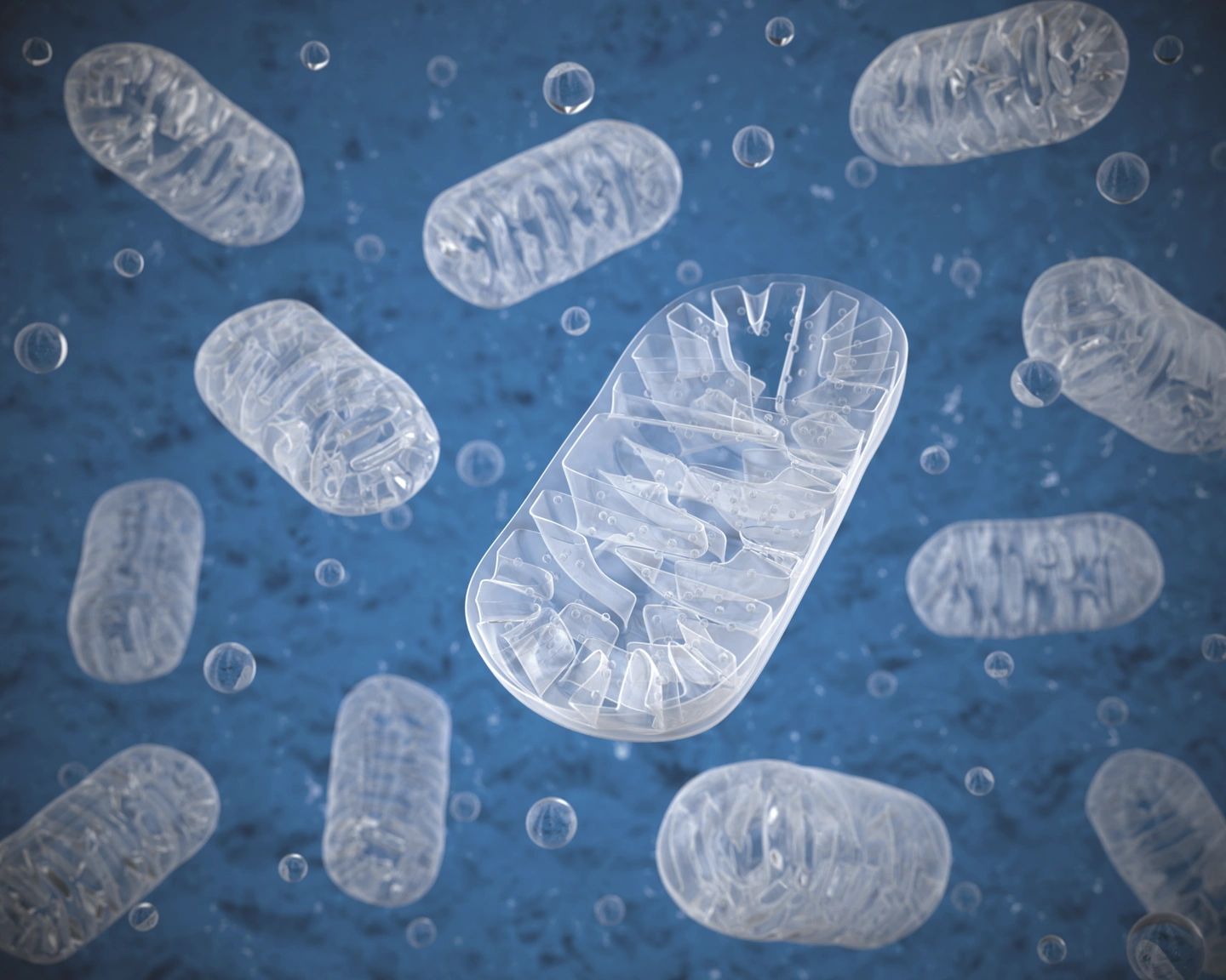 Sun, Melatonin, Vitamin D