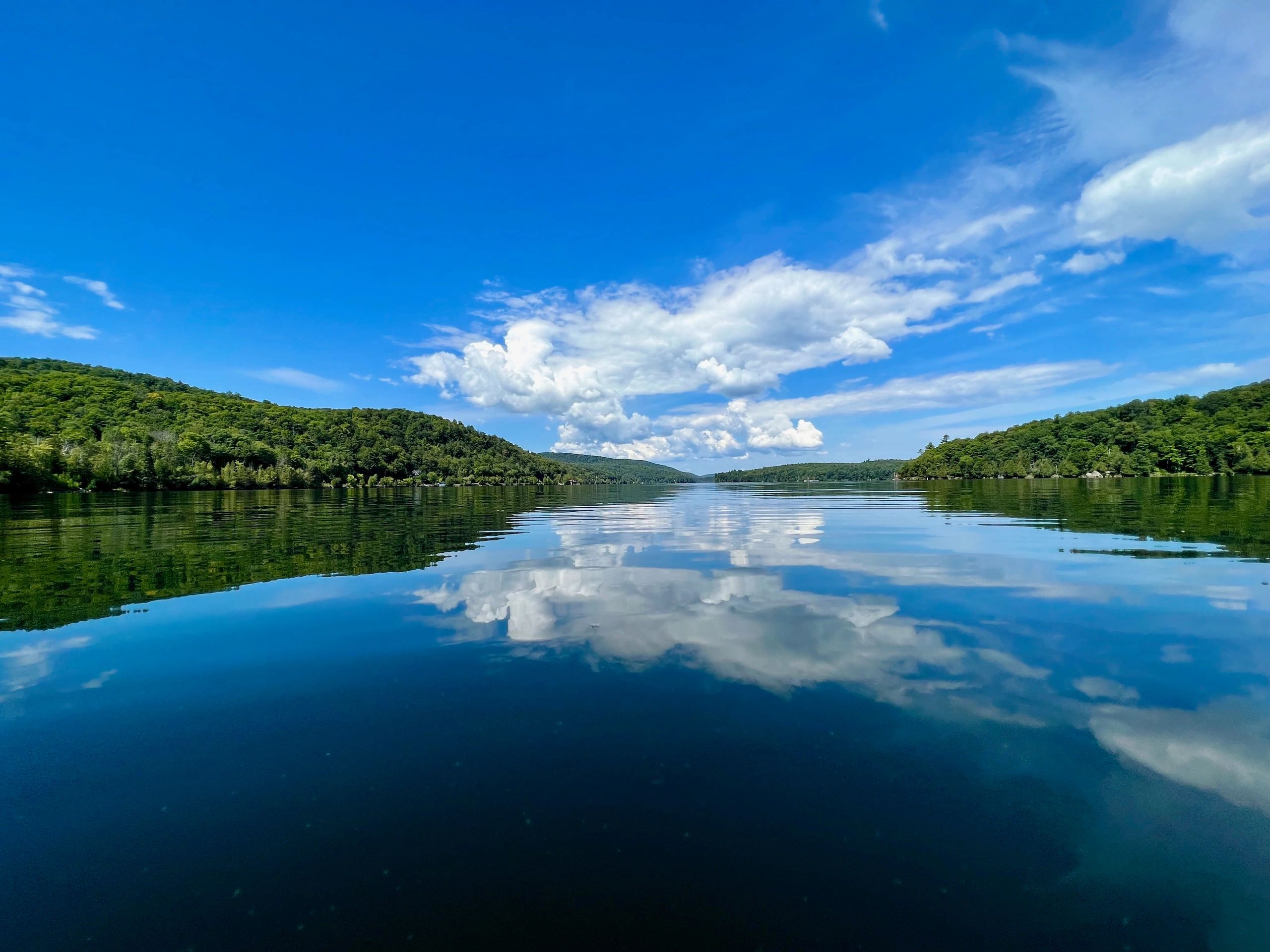 lac meech strategies