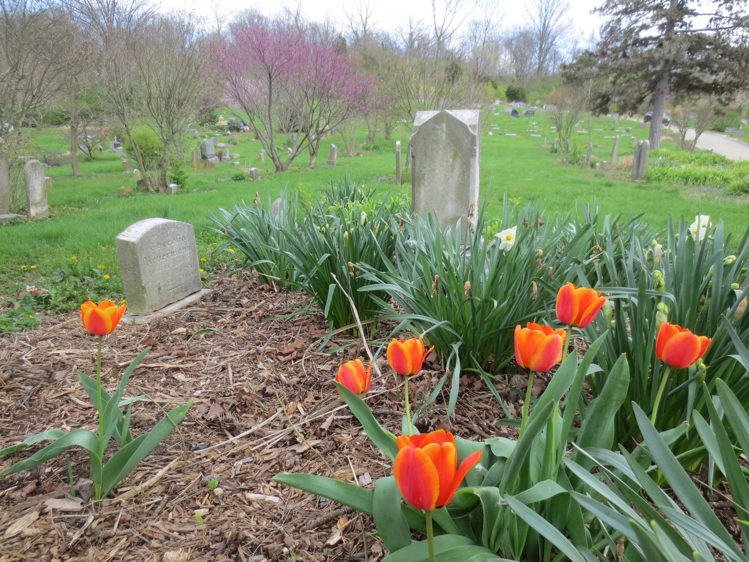 Maintaining Cemetery Grounds and Facilities