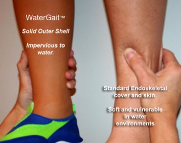 WaterGait Water Leg | Replacement Arts, Inc