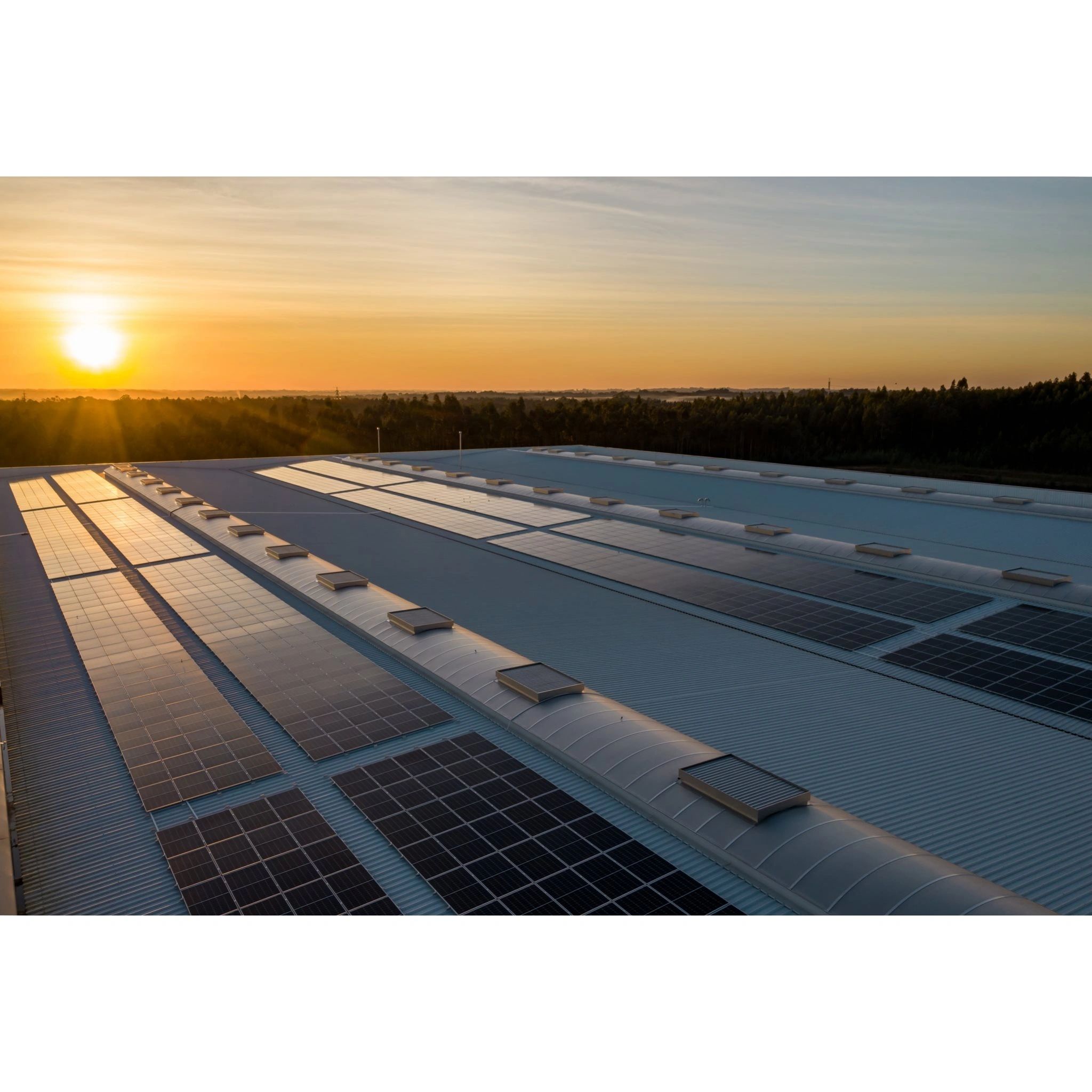 Paneles Solares - ENERMEX DISTRIBUIDOR MAYORISTA SOLAR