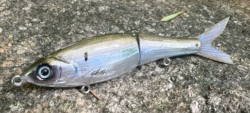 Tater Hog Custom Fishing Lures - High-Quality Swimbait