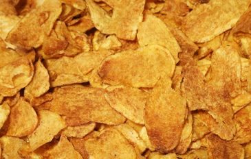 Denver Chip Co. | Denver Chip Co.