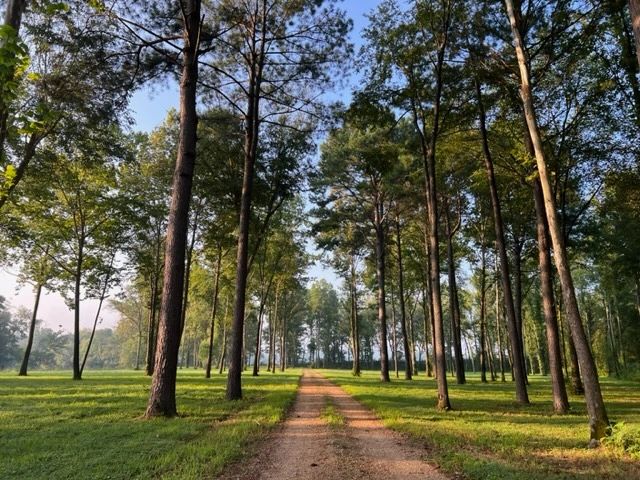 Top 5 Must-Visit Attractions in Perry County, Tennessee