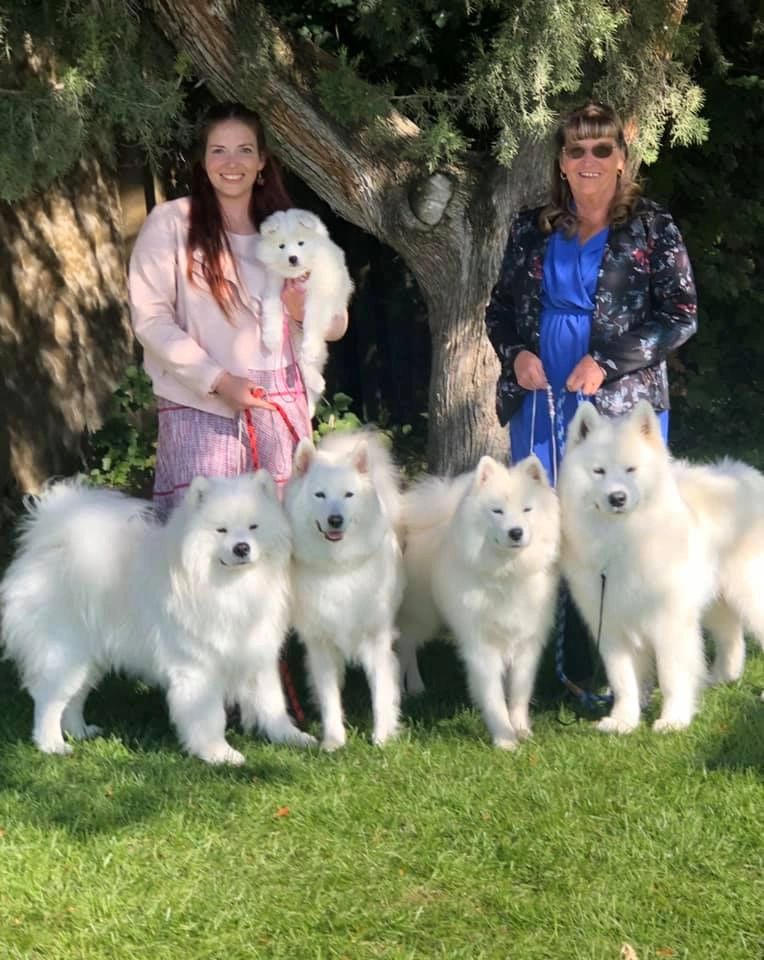 About The Breed