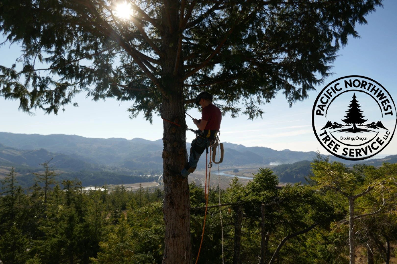 Pacific Northwest Tree Service - Home