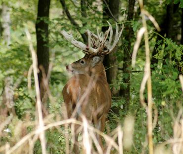 First Class Trophy Ranch - Gallery