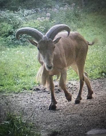 First Class Trophy Ranch - Gallery