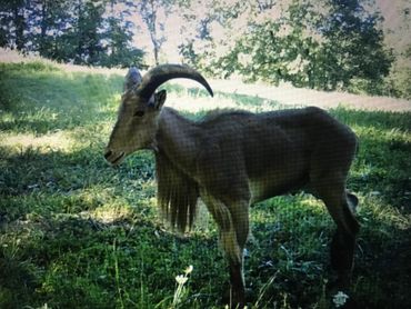 First Class Trophy Ranch - Gallery