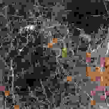 Vika Marble® | Designed by Nature