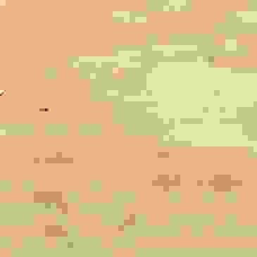 Vika Marble® | Designed by Nature