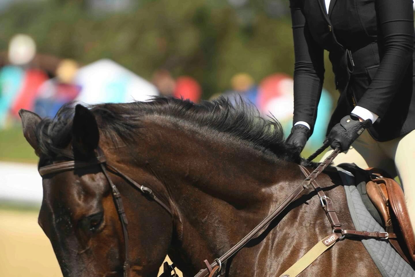 Contact | Corralitos Riding Club