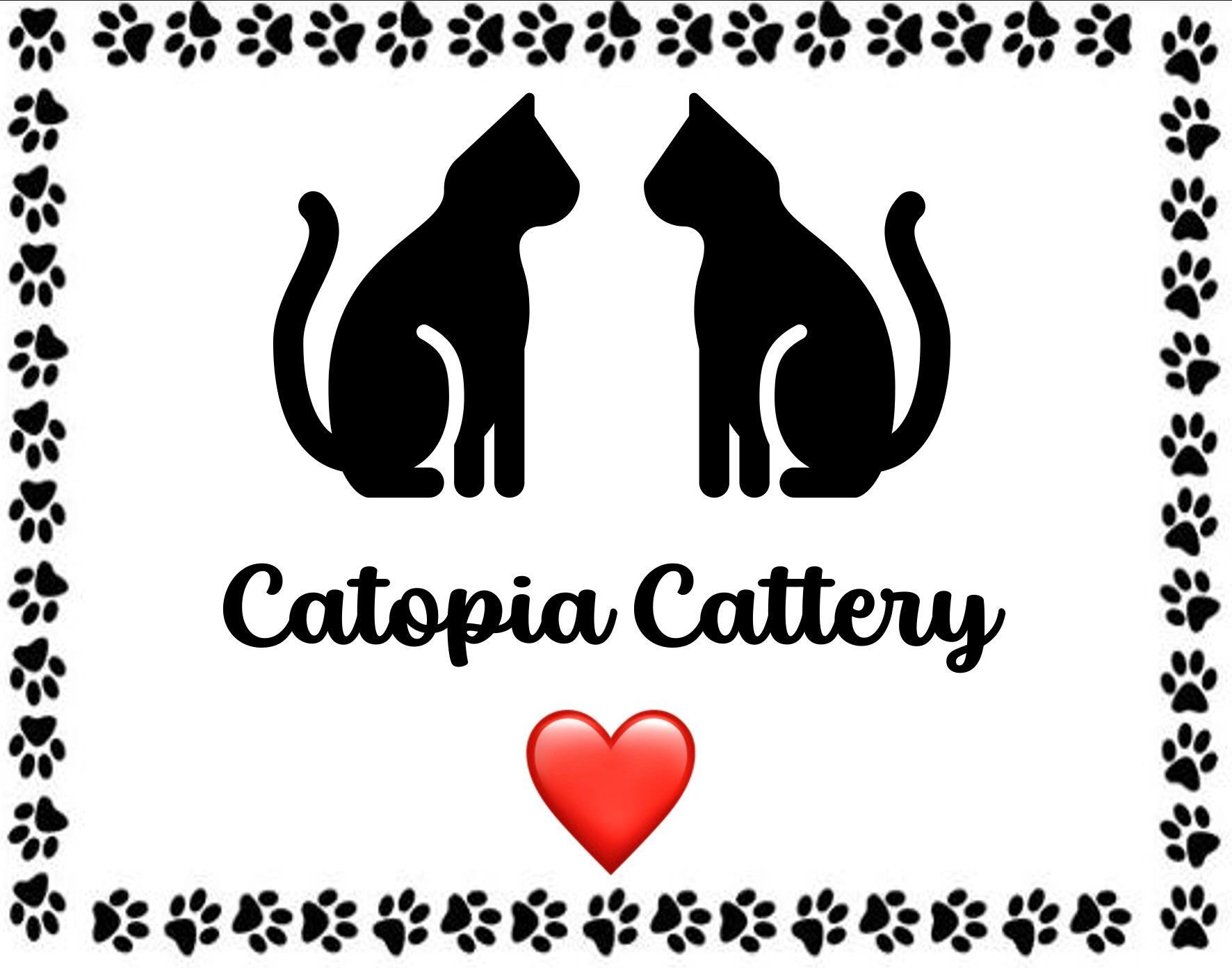 Image Gallery | Catopia Deluxe Cattery