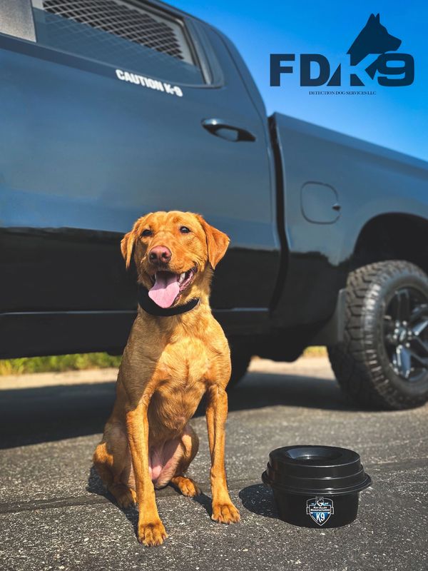 Meet the Team | First Defense K9 LLC