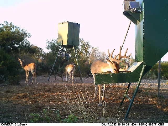 FORTRESS FEEDING SYSTEMS