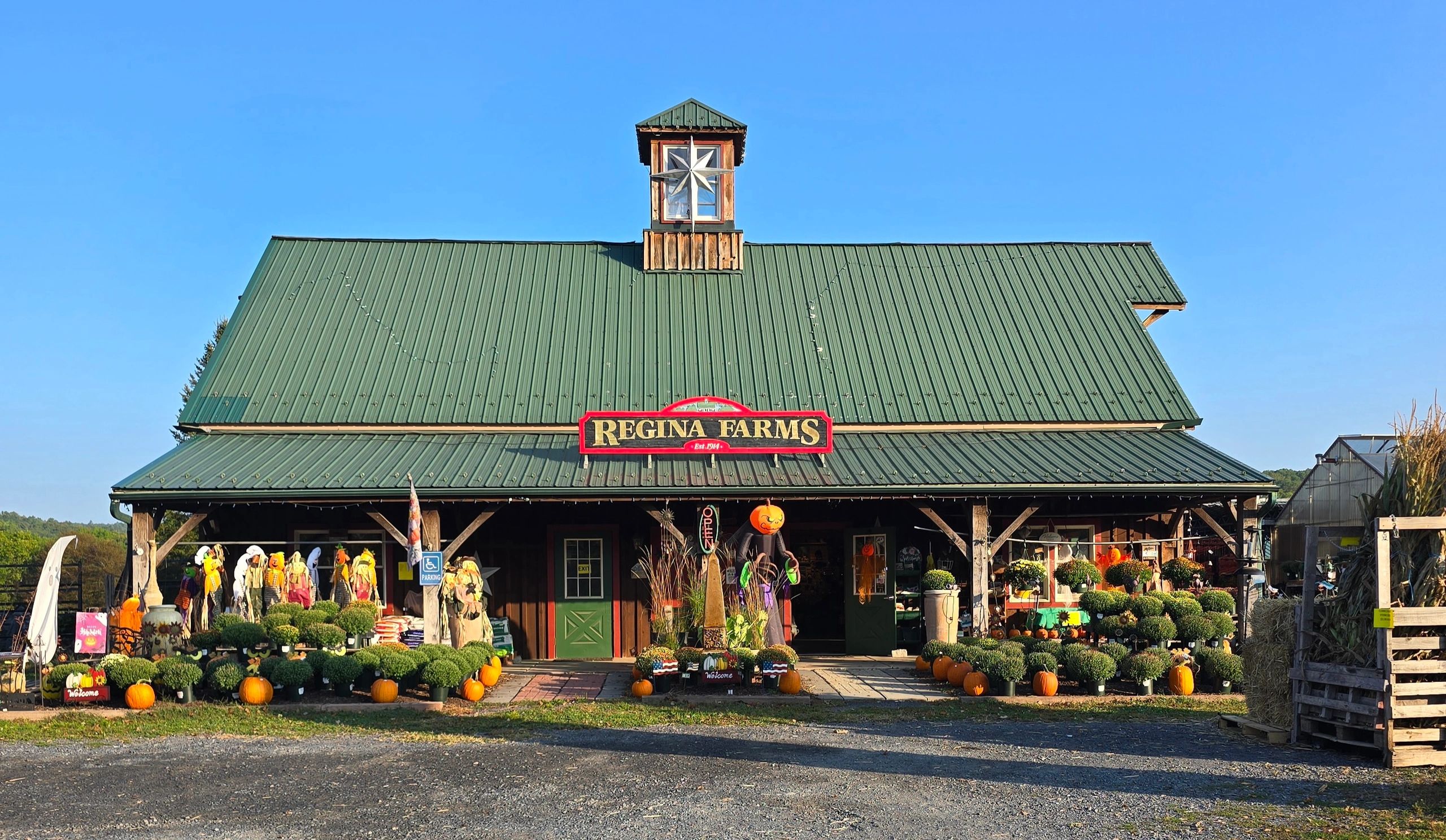 Regina Farms: Your Trusted Garden Center