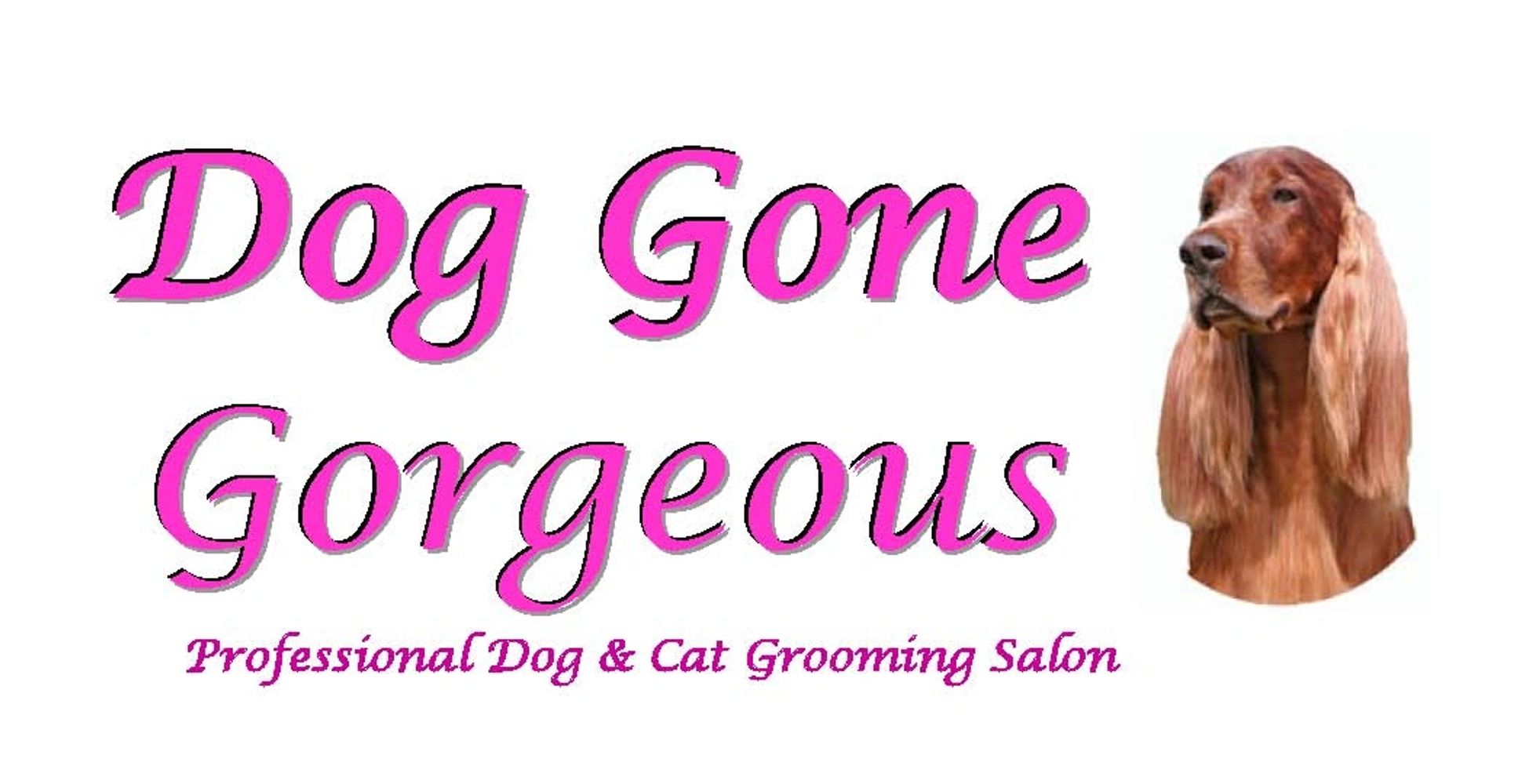 Dog Gone Gorgeous - Pet Grooming, Pet Groomer, Pet Supplies
