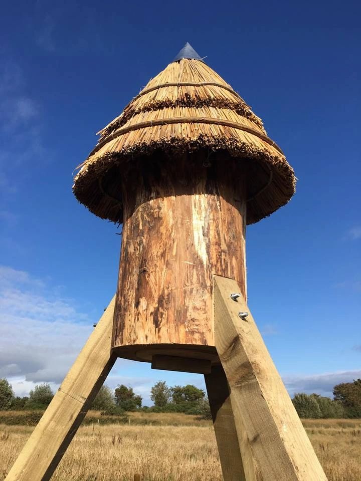 Boomtreebees - Log Hive, Natural Beehive, Honeybee Conservation