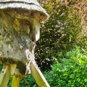Boomtreebees - Log Hive, Natural Beehive, Honeybee Conservation