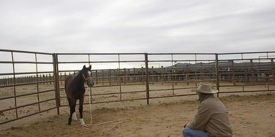 John Saint Ryan Horsemanship Clinician - John Saint Ryan