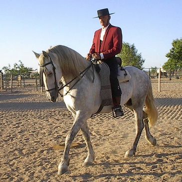John Saint Ryan Horsemanship Clinician - John Saint Ryan