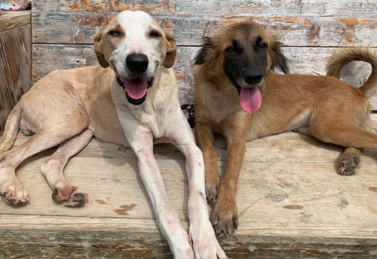 One Love Foundation Inc.