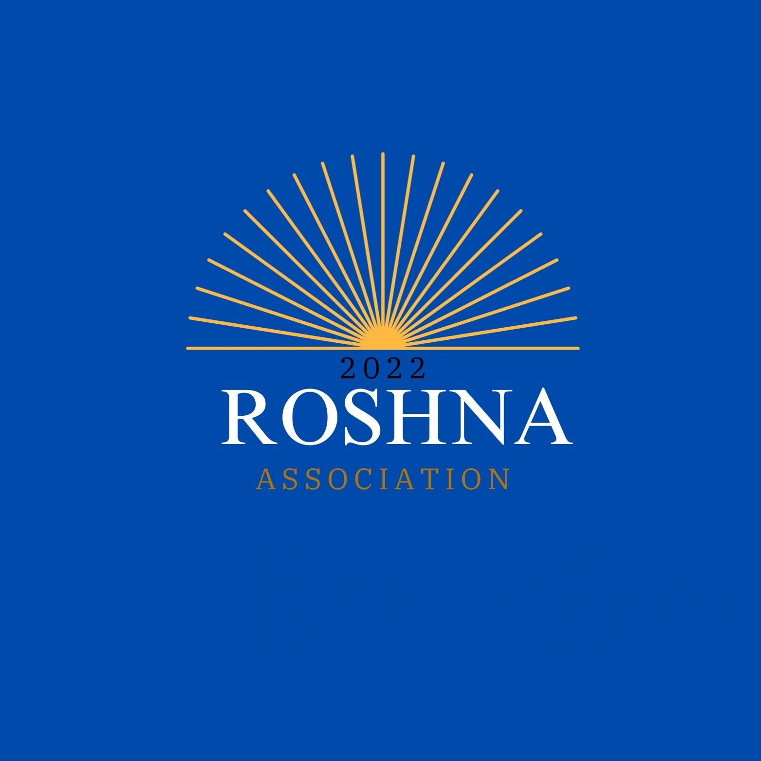 Our projects | Roshna Association