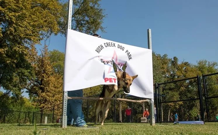Koa's K-9 Obedience Academy