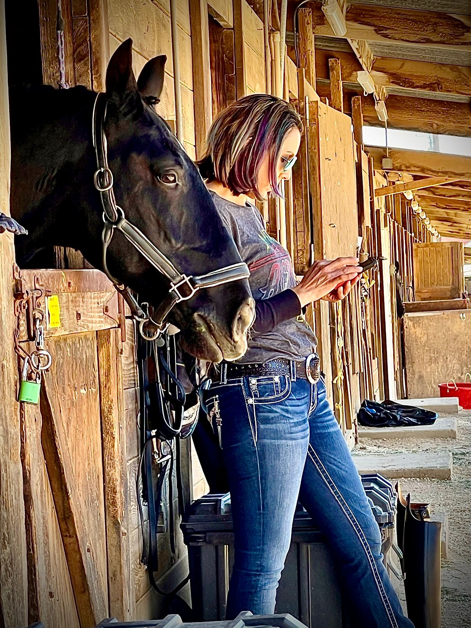 Equestrian training, lessons, care and nutrition | Amber Smigel Dressage