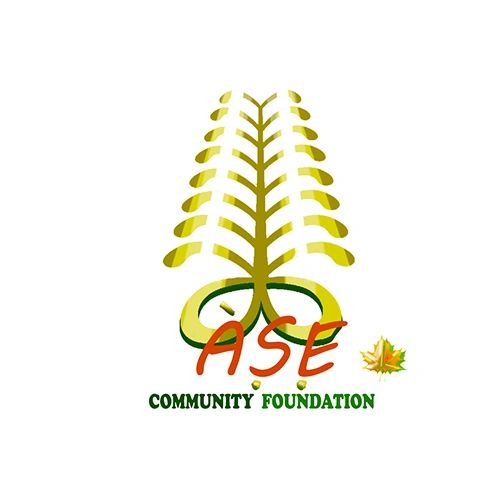 ASE Community Foundation for Black Canadians with Disabilities - Black ...