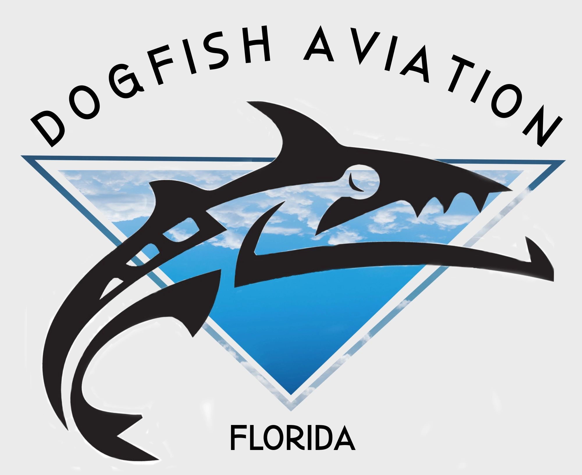 dogfish-aviation.com