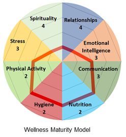 Wellness Maturity Model | Family Wellness Institute