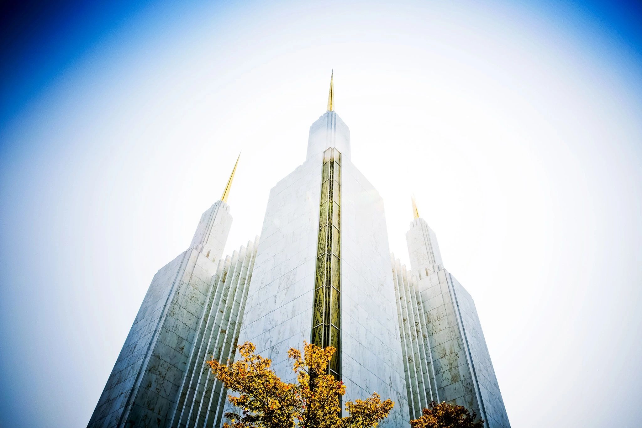 Washington D.C. South Mission