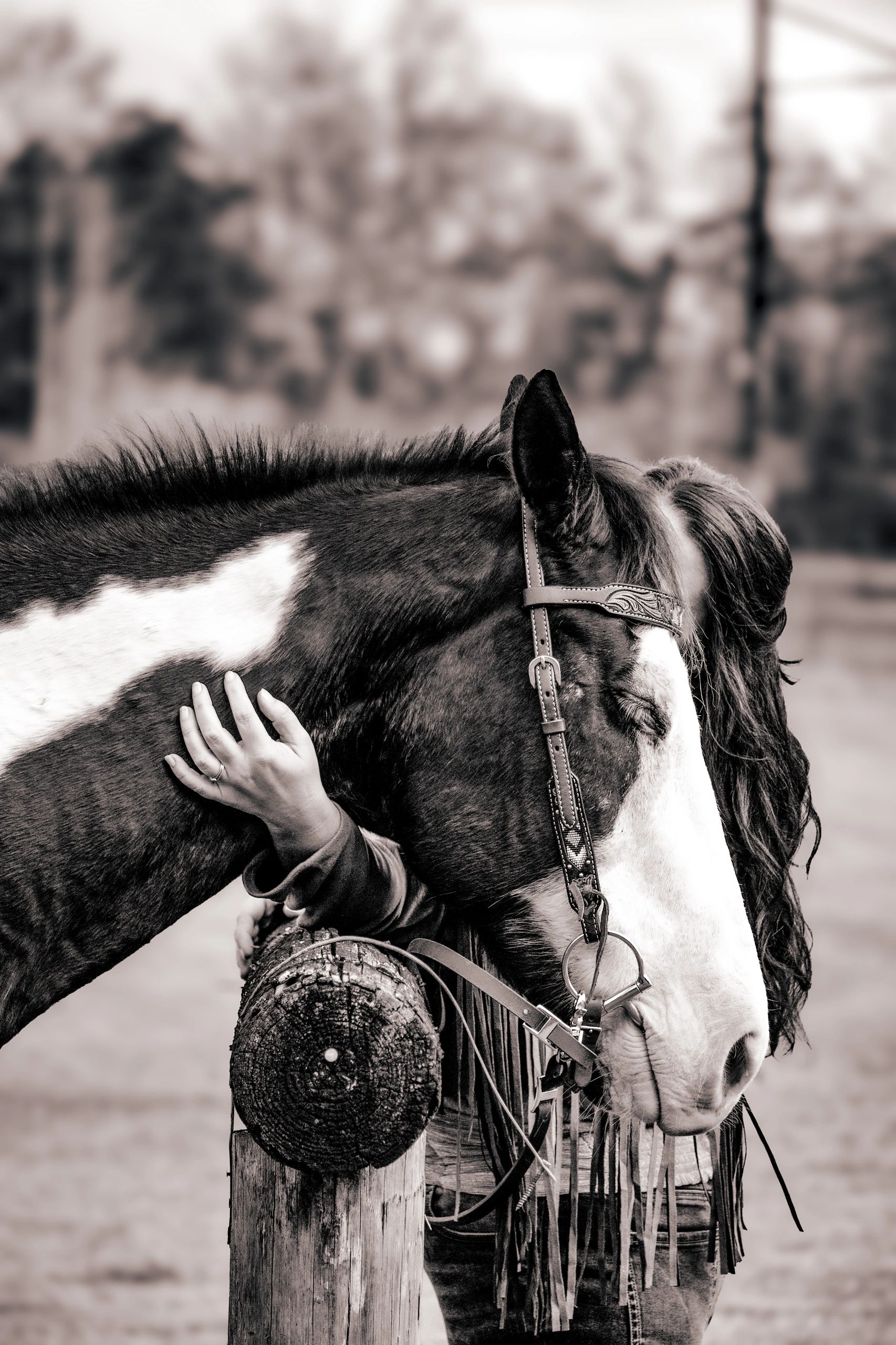 Double O Stables