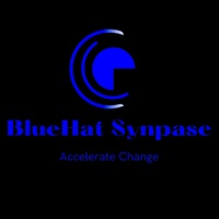 BlueHat Synapse