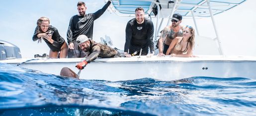 Explore Shark Diving in Jupiter, FL with Shark Addicts