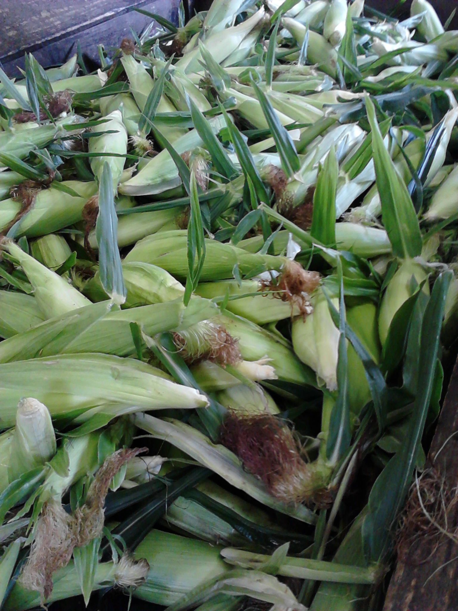 Cook's Valley Farm - Farm Stand, Fruit and Vegetables